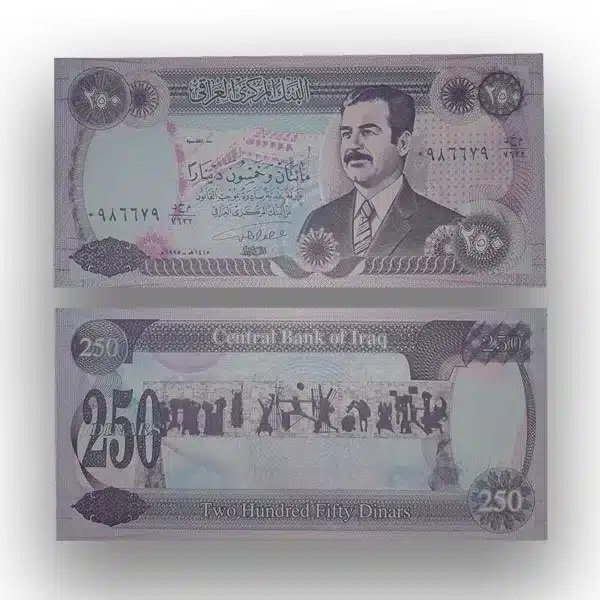 Iraq Set of 6 Banknotes (1991-2002) | Collectible Currency